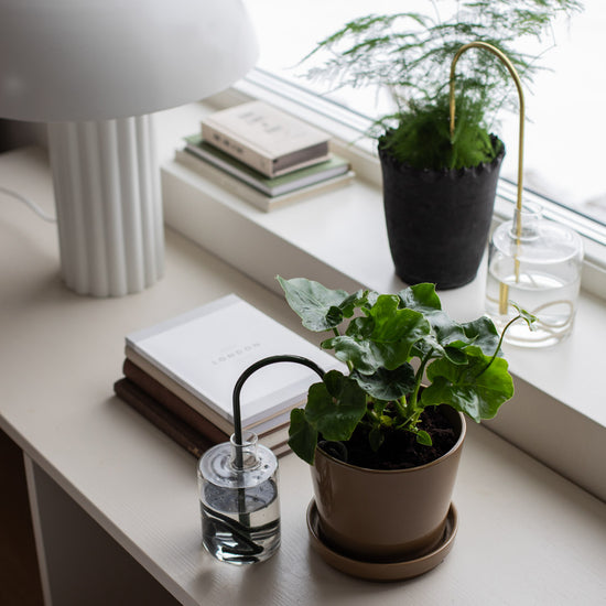 Plant Straws Small Plantstraws