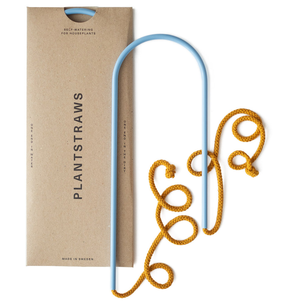 Plant Straws Medium – plantstraws
