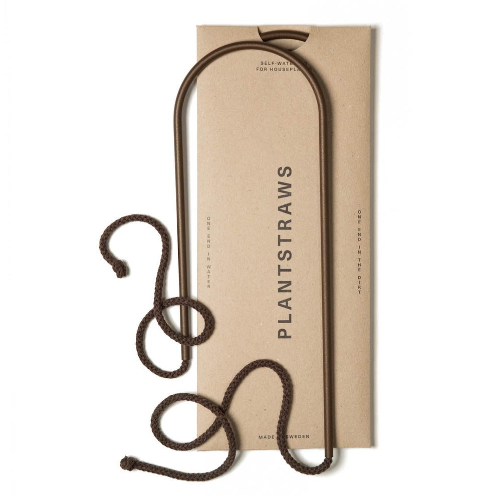 Plant Straws Medium – plantstraws