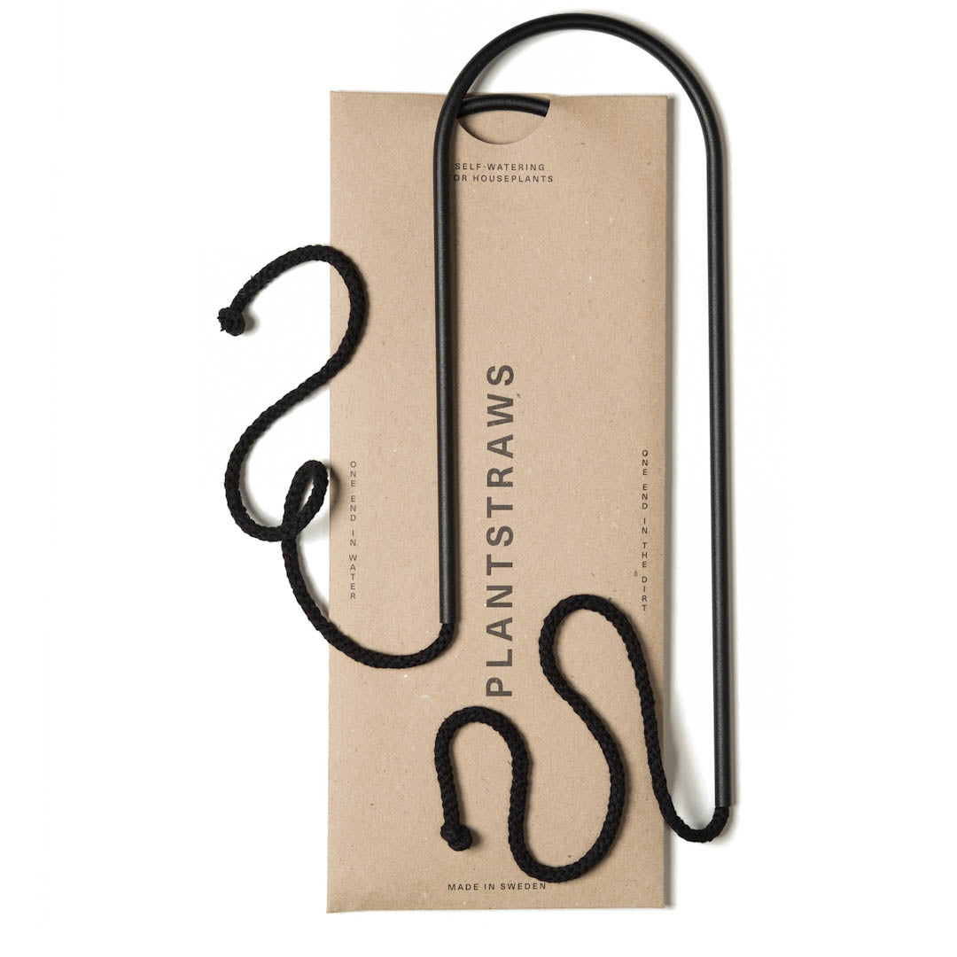 Plant Straws Medium – plantstraws