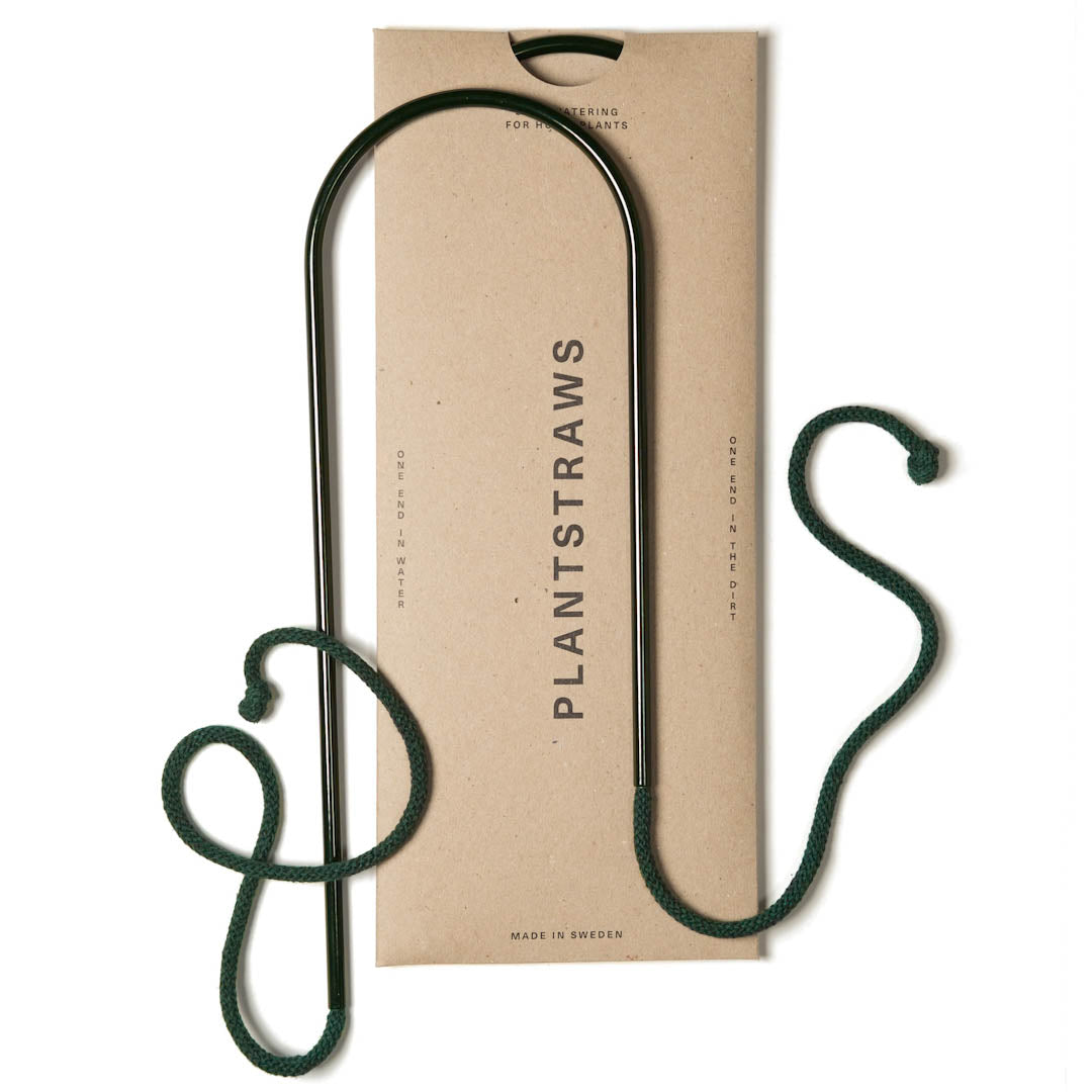 Plant Straws Medium – plantstraws