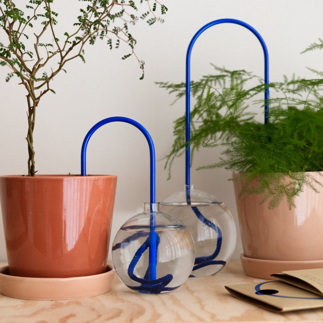 All products – plantstraws